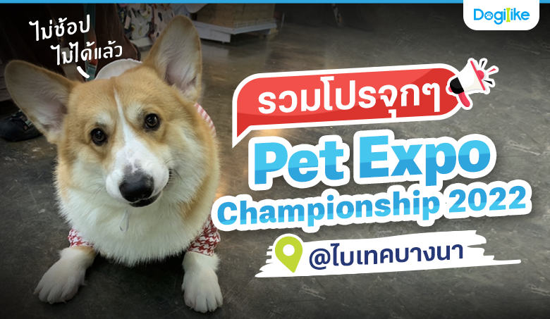 Dogilike พาส่องโปรเด็ด Pet Expo Championship 2022 | Dogilike.com